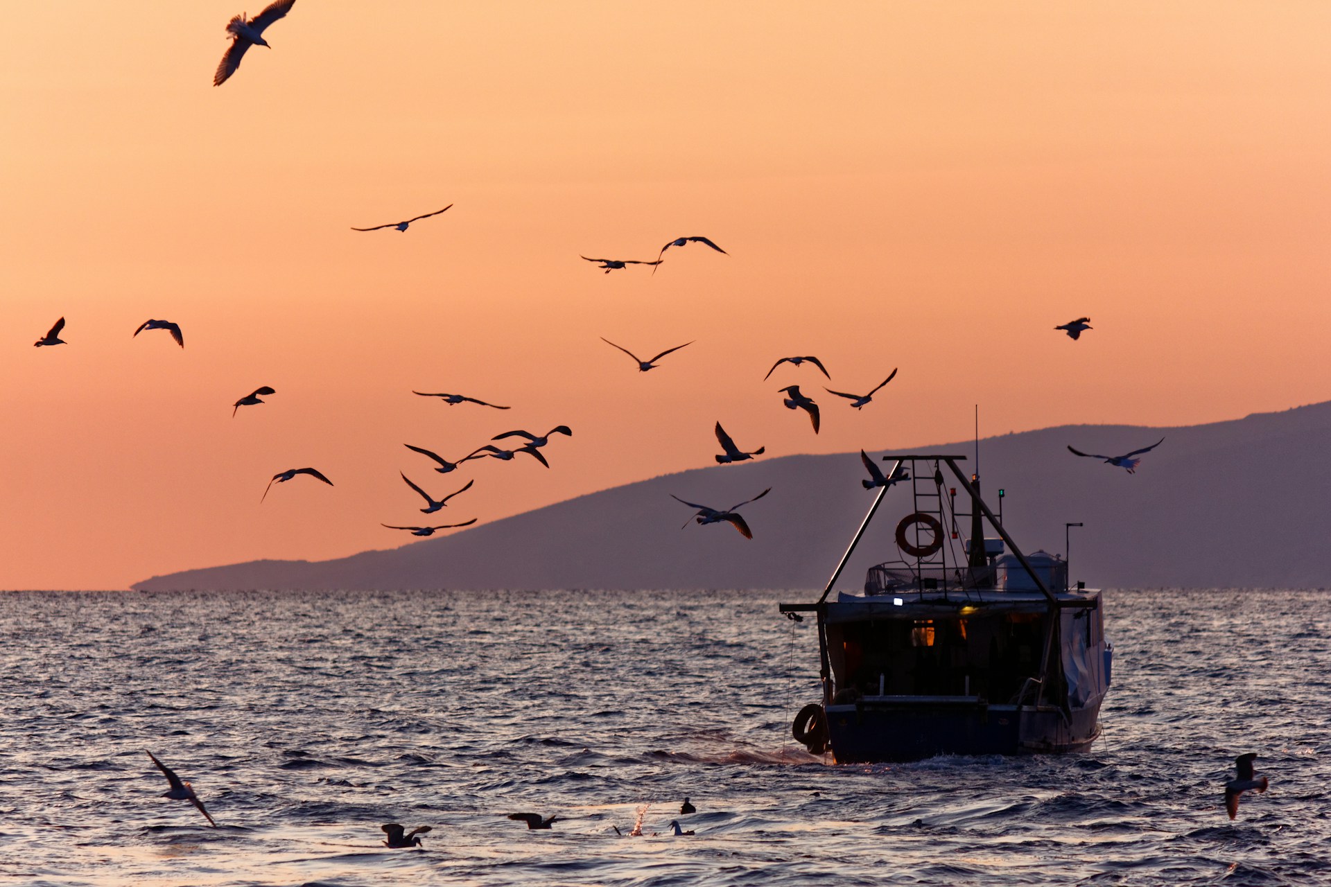 Pesca illegale, Confcooperative: Italia blocca pesca pirata